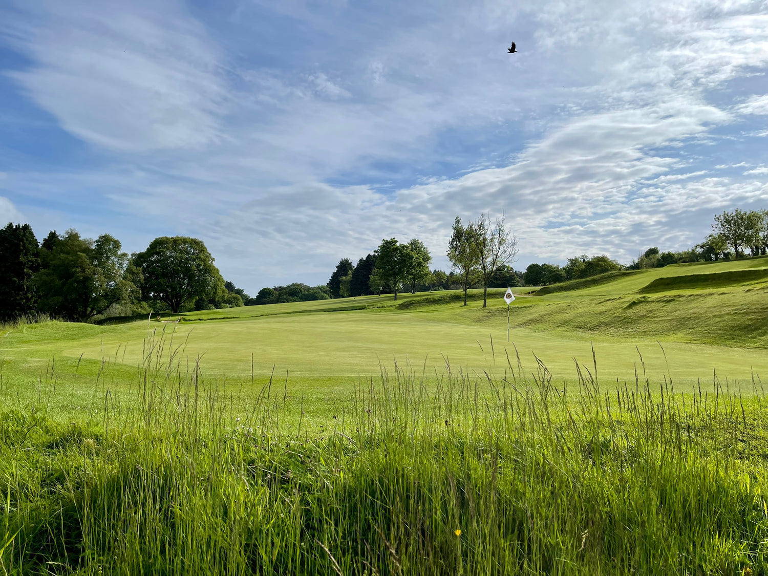 Holywood Golf Club